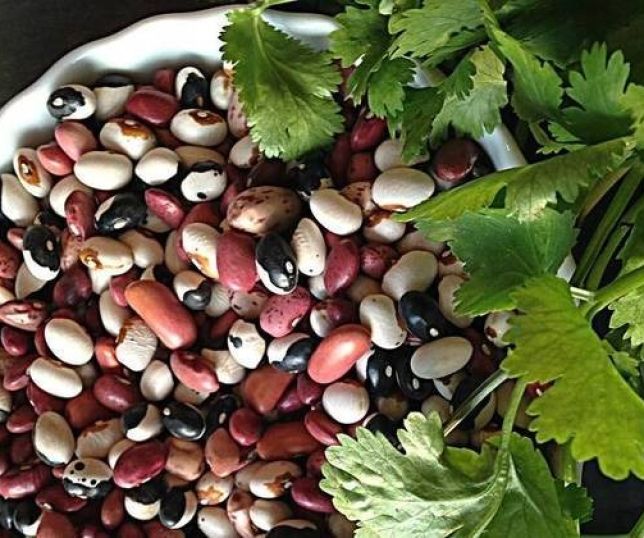 Notícias | Após 40 anos, descoberta de fóssil de feto de preguiça ...