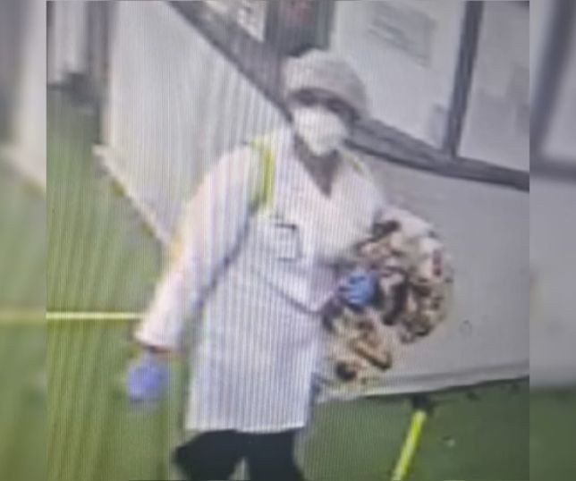 Notícias | Após 8 meses presa, falsa pediatra que raptou bebê de ...