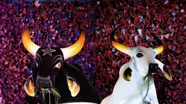 Notícias | Ingressos para o Festival de Parintins 2026 terão preços ...