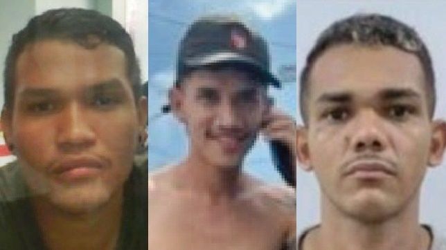 Notícias | Operação Fênix prende 16 integrantes de organização ...